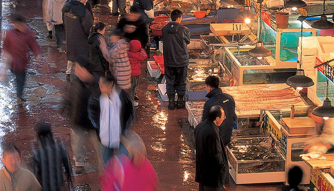 鱼皮被用作医疗材料 : Korea.net : 大韩民国官方网站